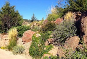 How to 'green' your landscape